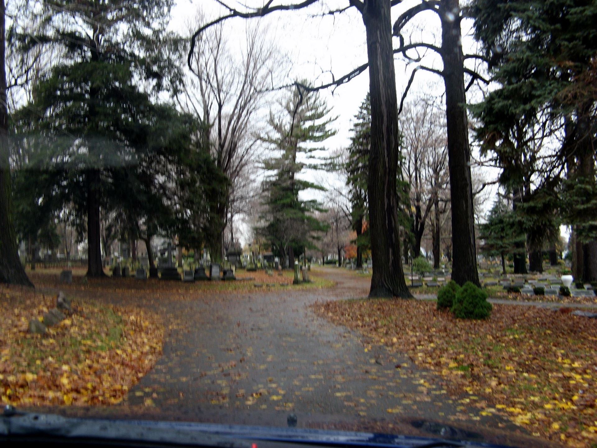 Locations Hub - Erie Cemetery I