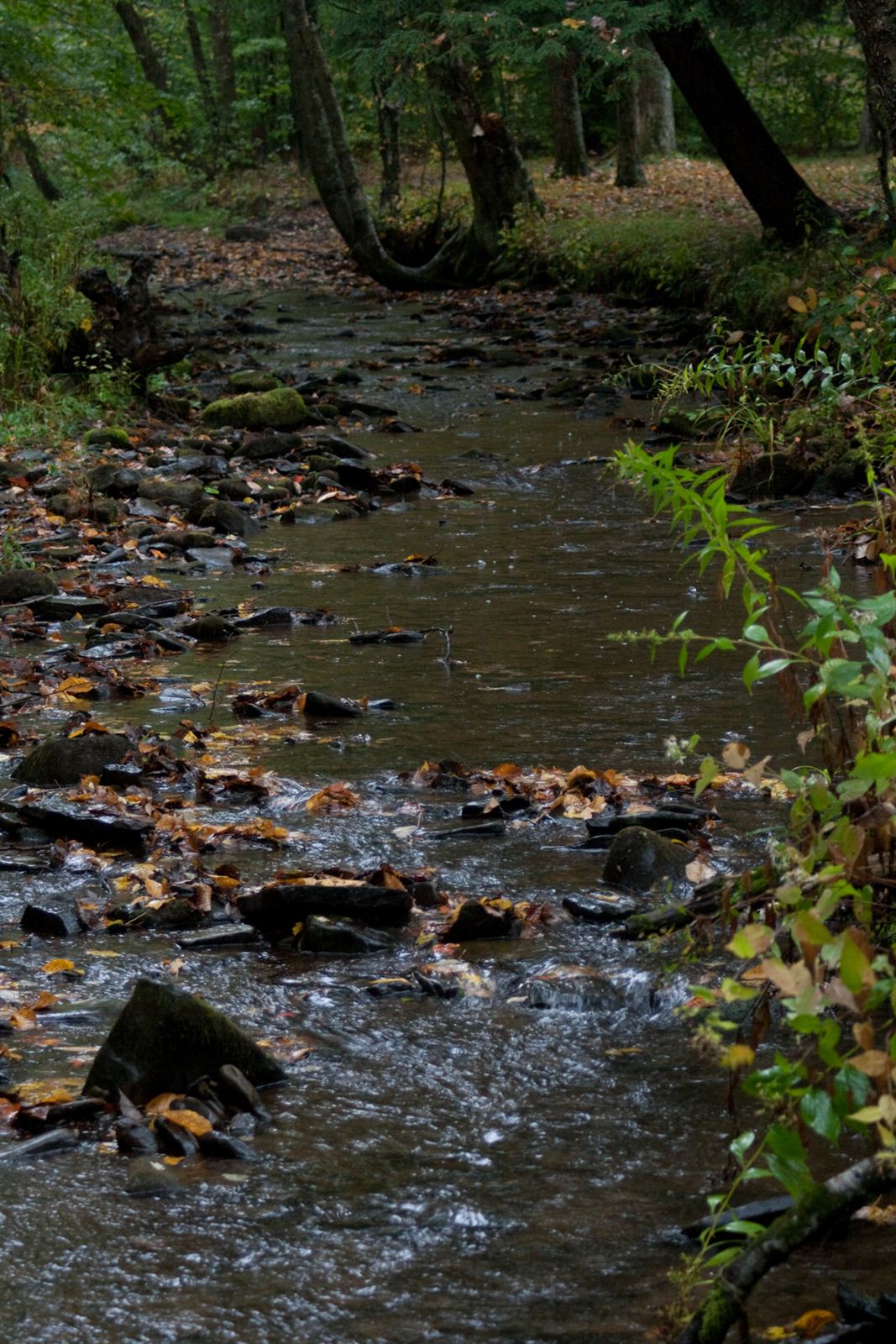Locations Hub - Prouty Place State Park
