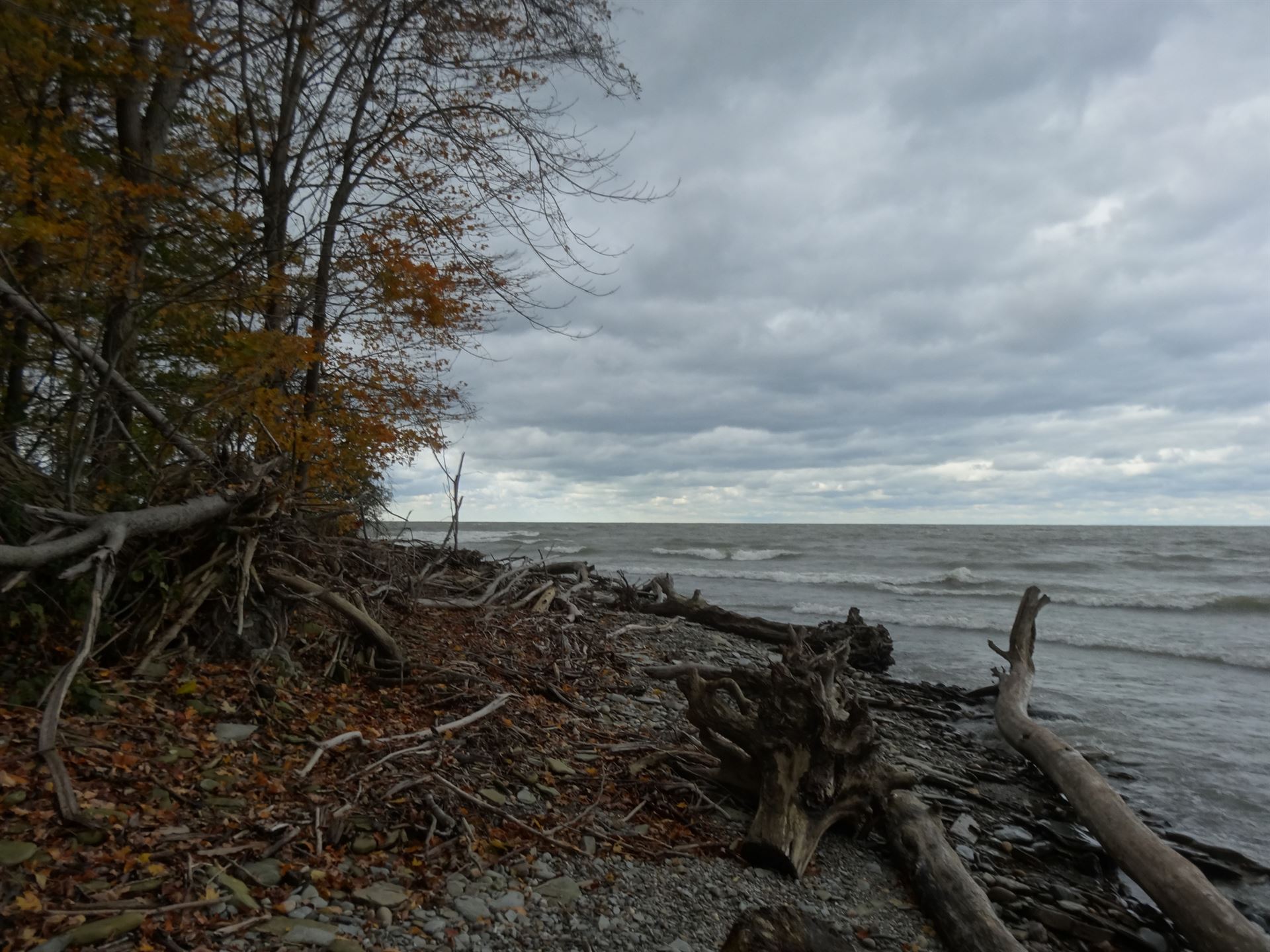 Locations Hub - Erie Bluffs State Park