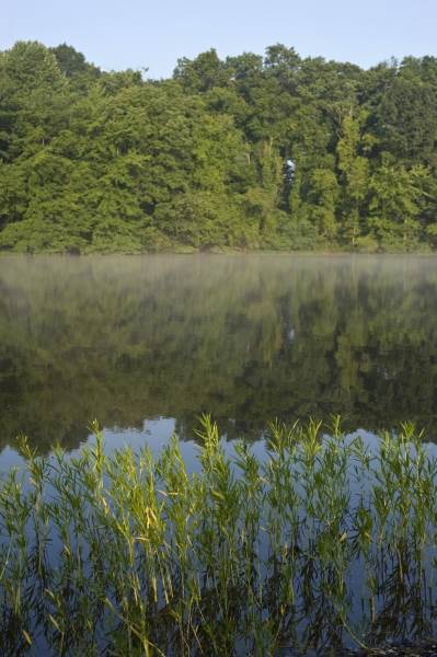 Locations Hub - Gifford Pinchot State Park