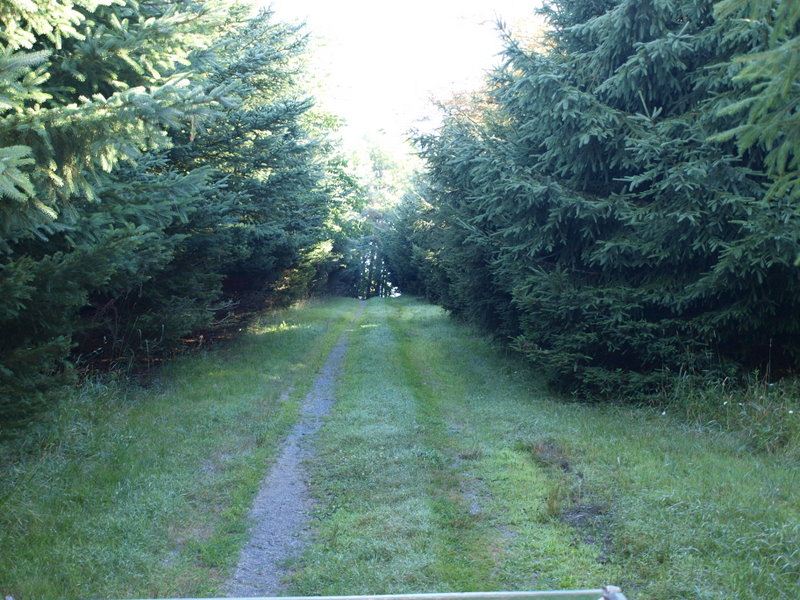 Locations Hub - Lbk Game Ranch