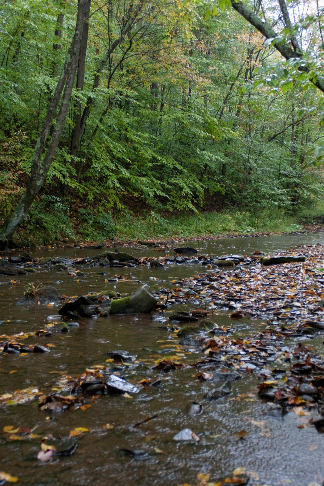 Locations Hub - Prouty Place State Park