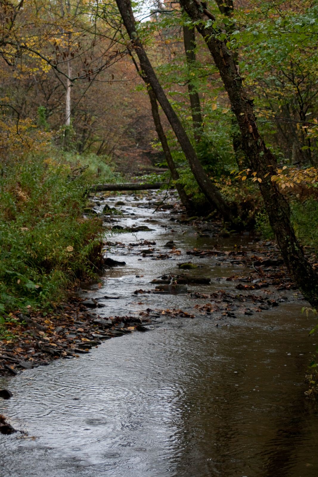 Locations Hub - Prouty Place State Park