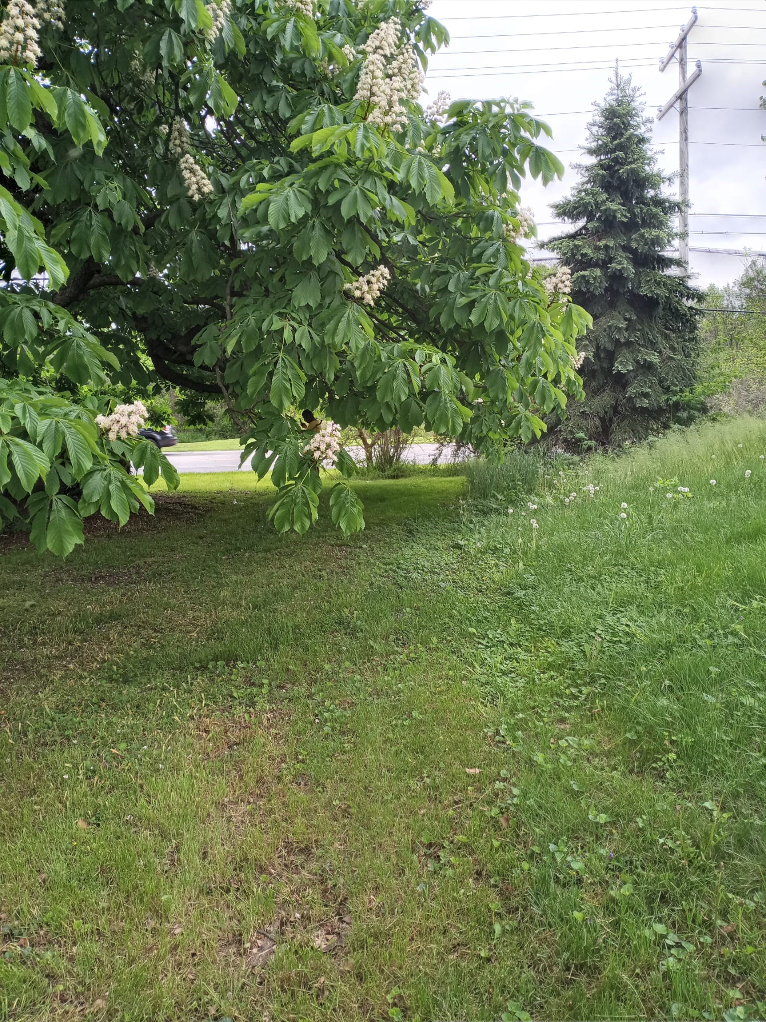 Locations Hub - 1804 Victorian Home, Columbia