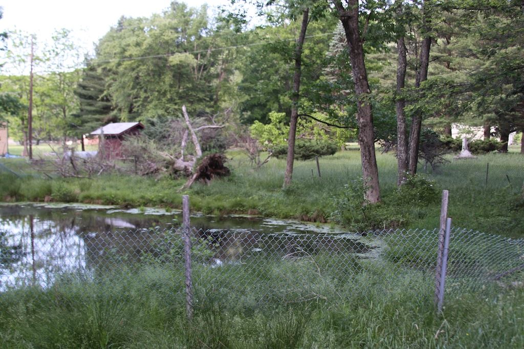 Locations Hub - Camp Colang