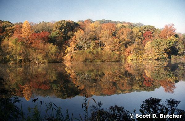 Locations Hub - Lake Redman, William Kain County Park