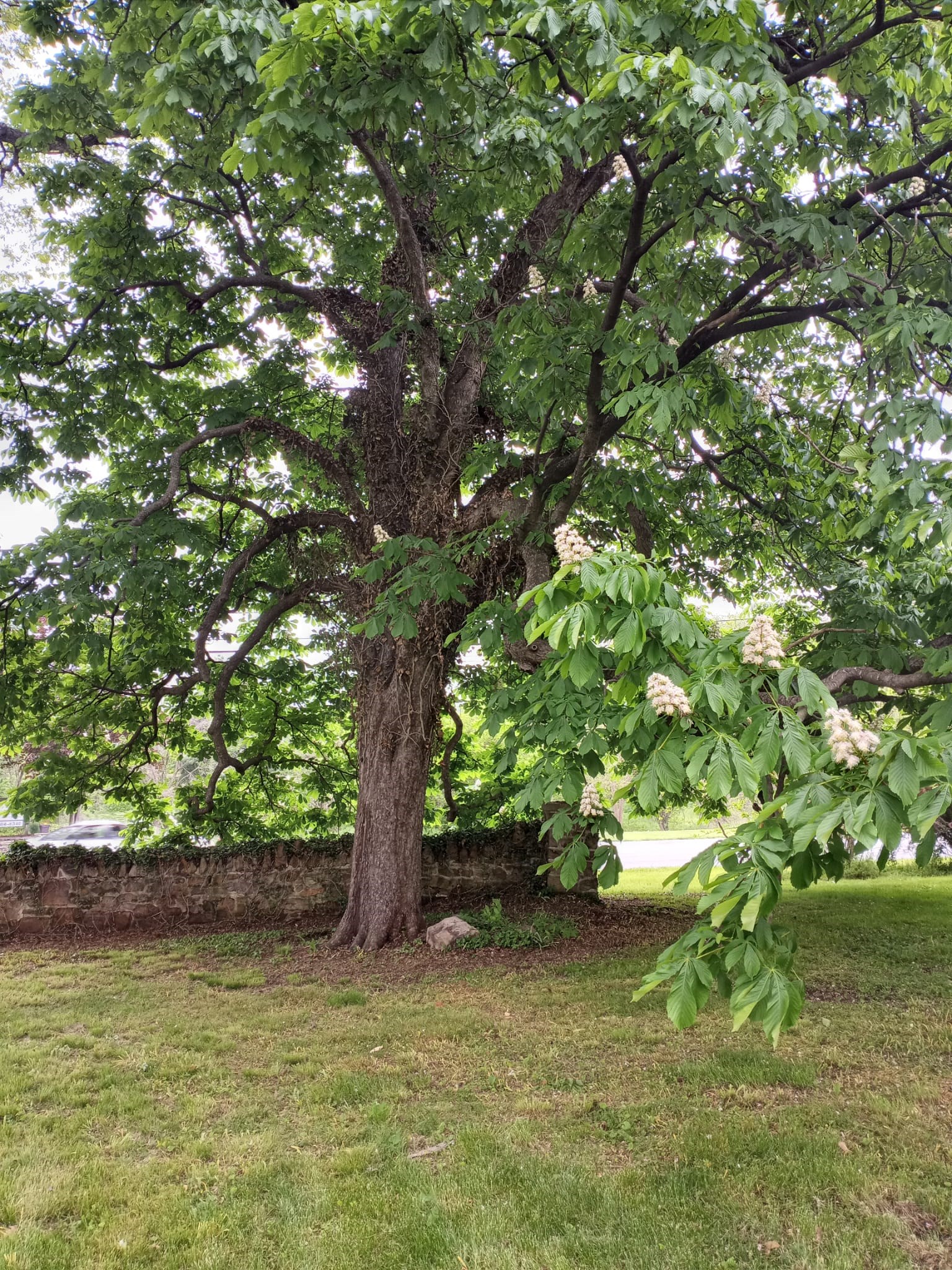 Locations Hub - 1804 Victorian Home, Columbia