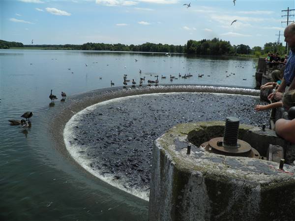 Locations Hub - Pymatuning Spillway