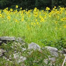 Locations Hub - Reeders, Monroe County