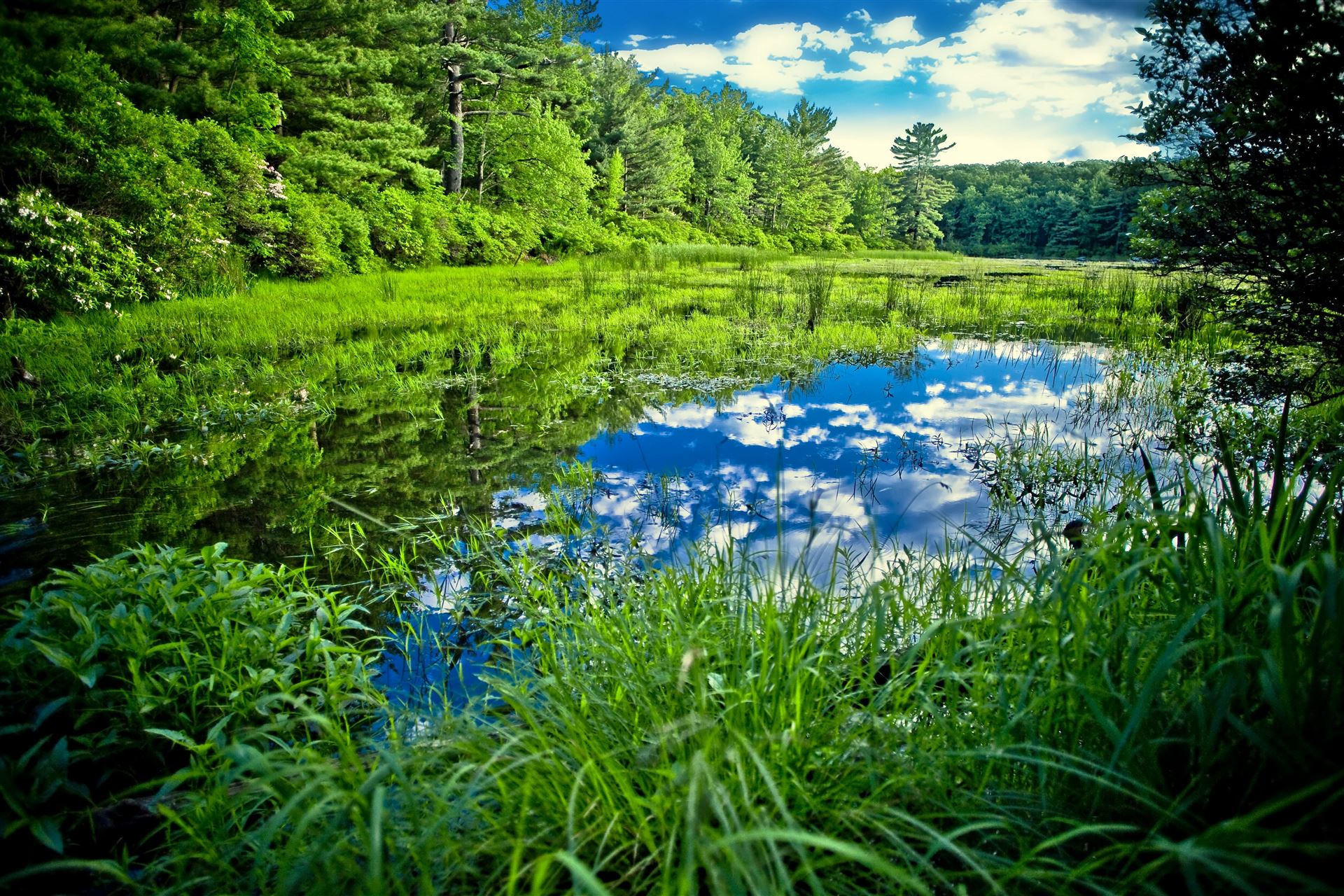 Locations Hub - Delaware State Forest