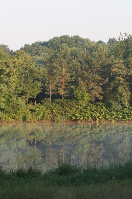 Locations Hub - Lbk Game Ranch