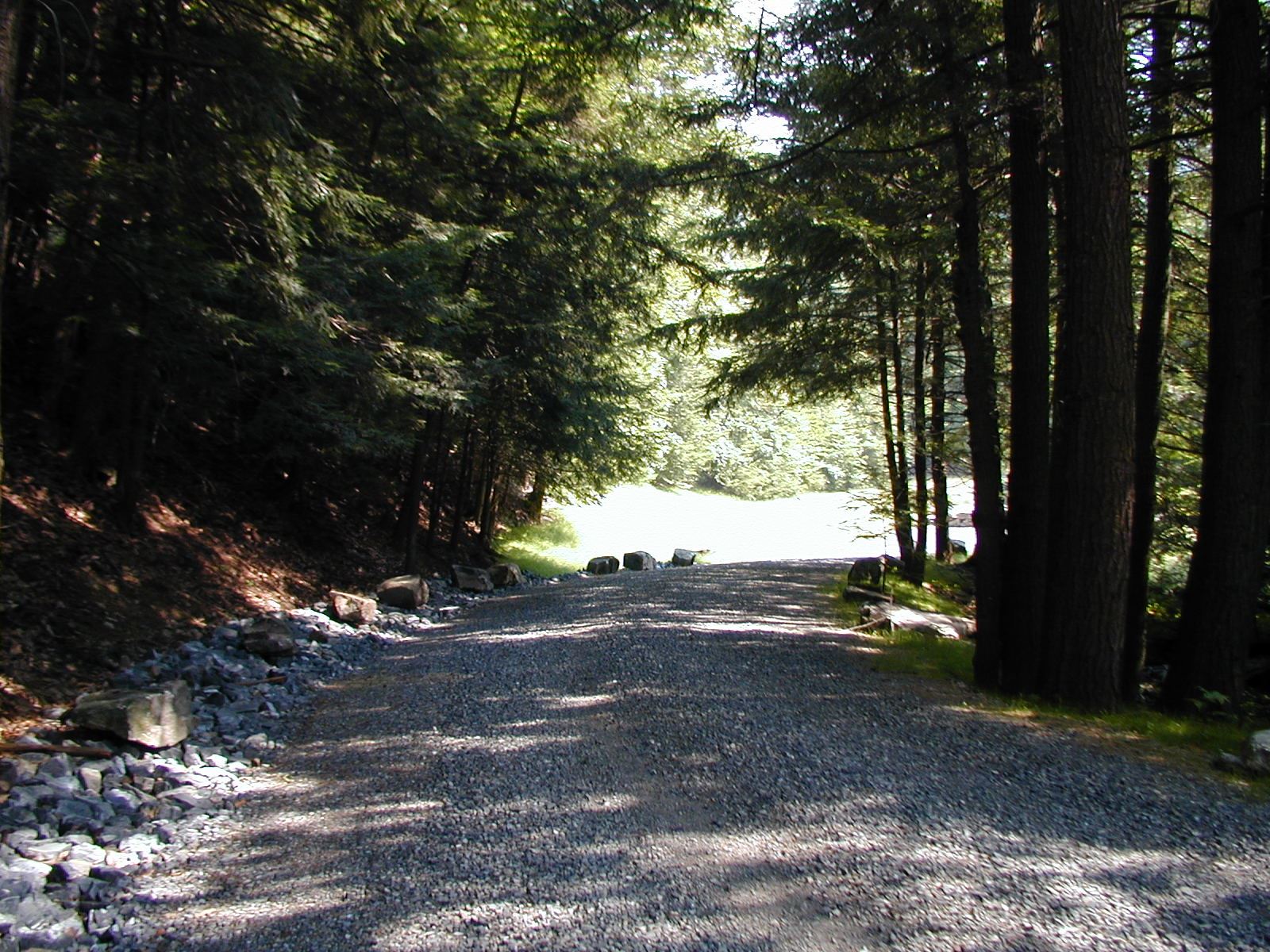 Locations Hub - Rothrock State Forest