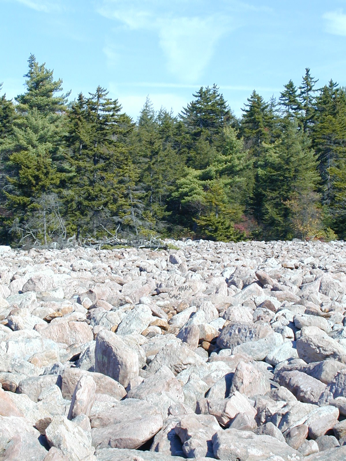 Locations Hub - Boulder Field, Hickory Run State Park