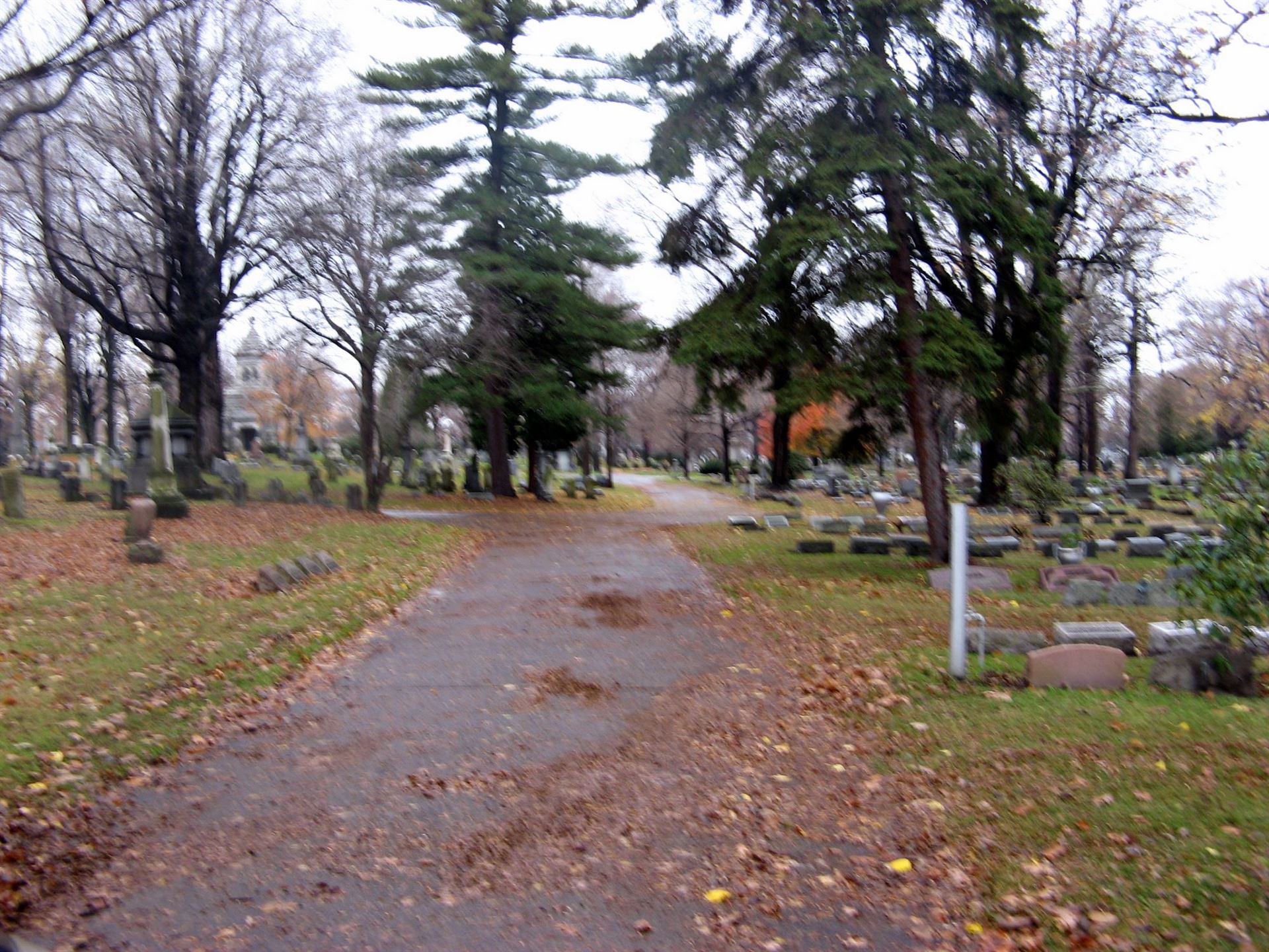 Locations Hub - Erie Cemetery I