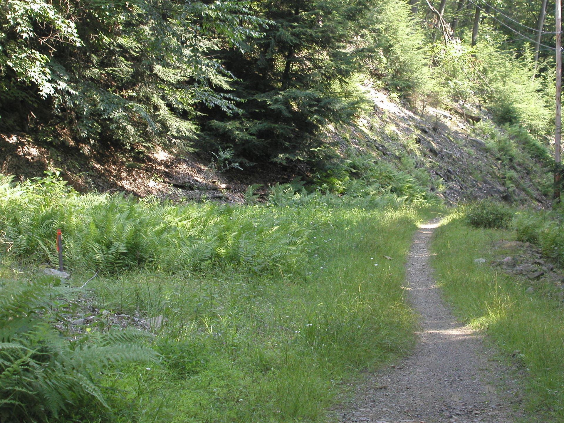 Locations Hub - Rothrock State Forest